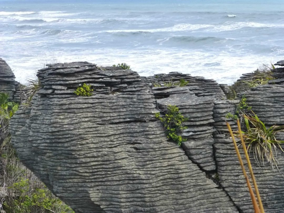 Punakaiki - Die Pancake Rocks › Weit weg Reisen